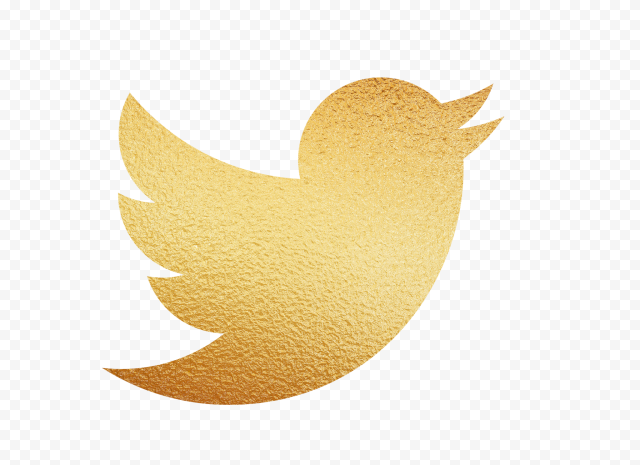 HD Twitter Official Text Logo PNG | Citypng