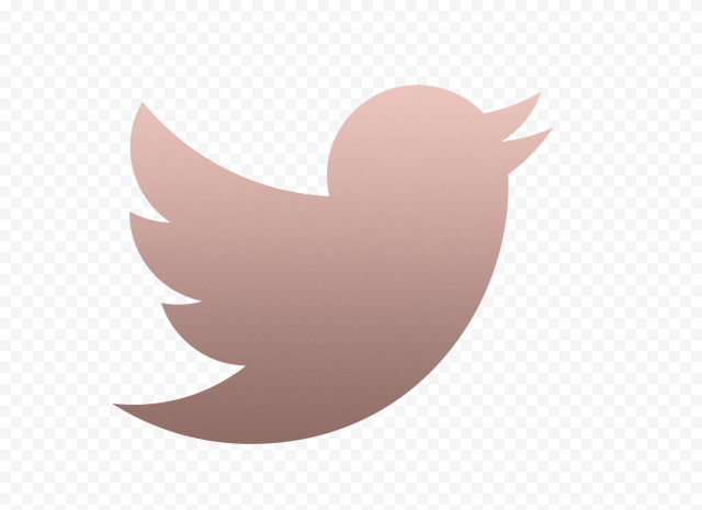 HD Gold Twitter Bird Logo Icon PNG | Citypng